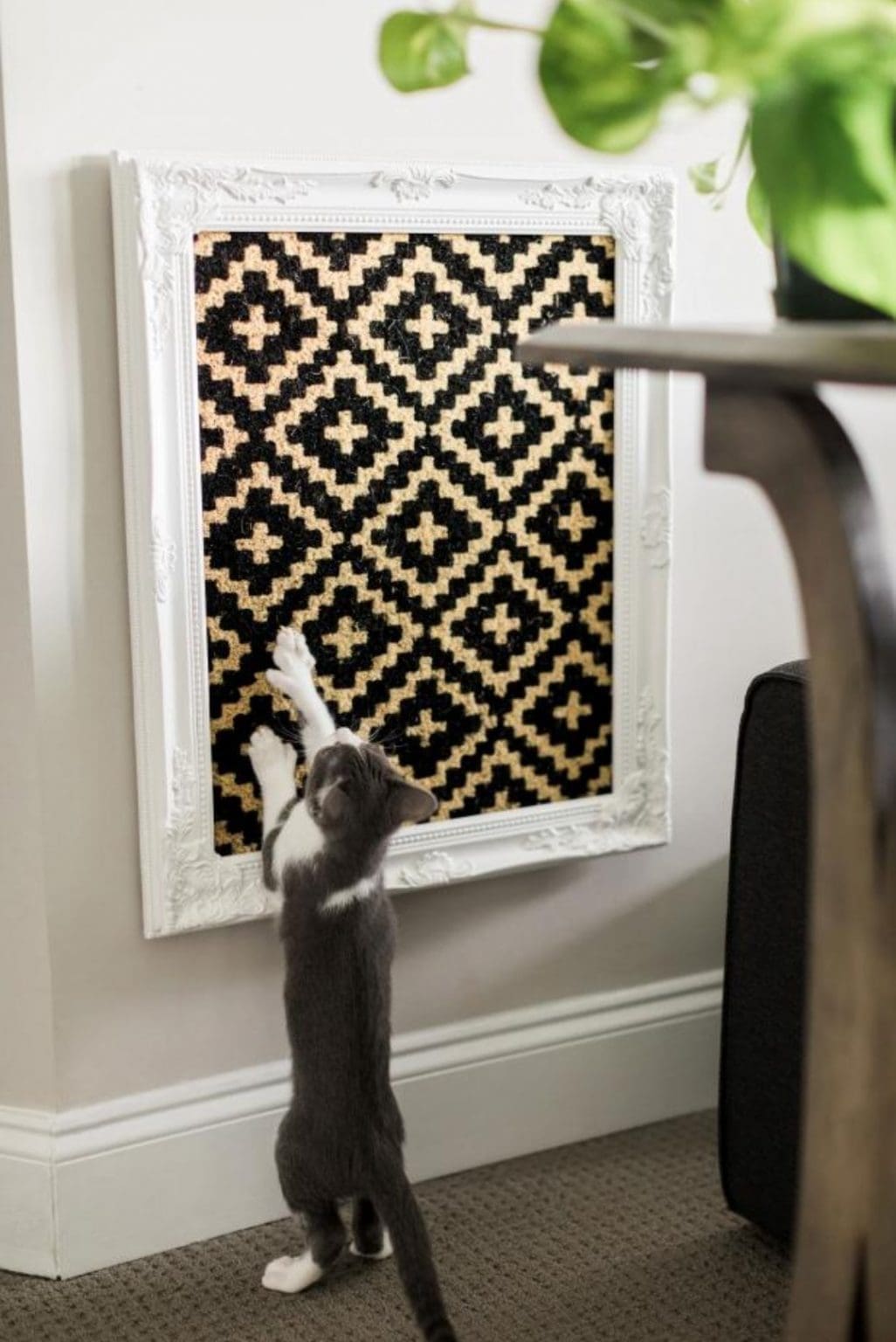 Catify your home with these purrrfect DIY projects for cats | Style Curator